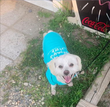 Blog – The Broadkill Store